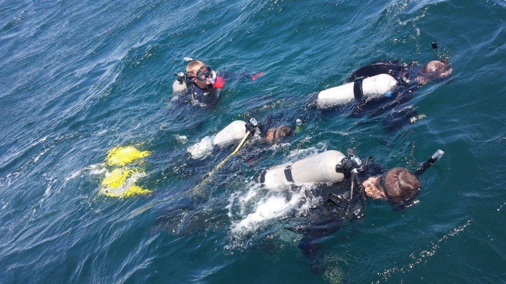 Fort Walton Beach Diving and Destin SCUBA diving charters